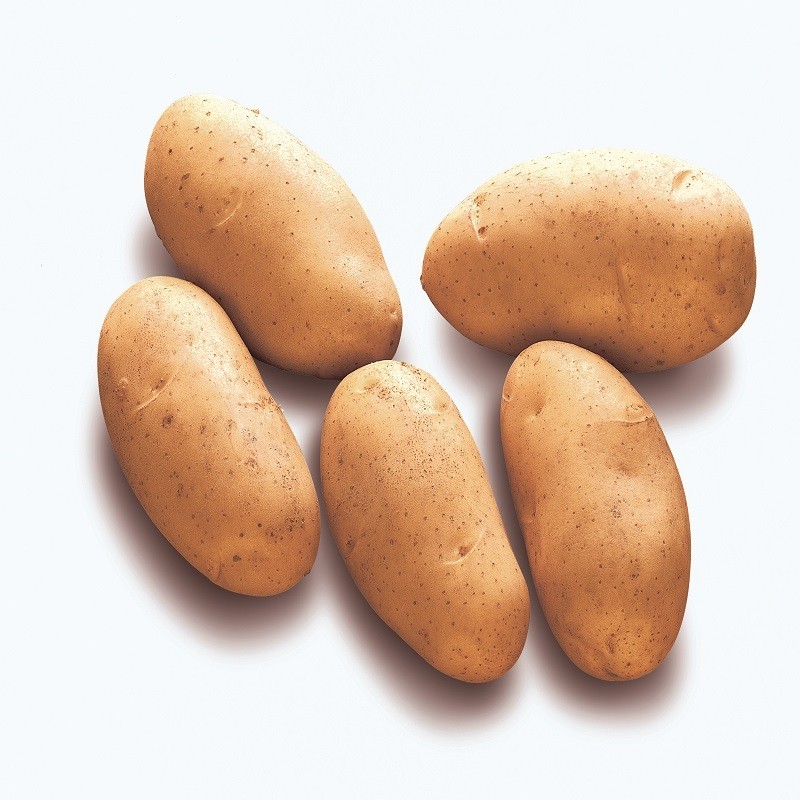 variété de pomme de terre SPUNTA